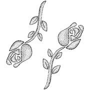 Black Roses Playing Cards – Premium Decks for Magicians