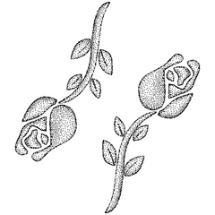 Black Roses Playing Cards – Premium Decks for Magicians